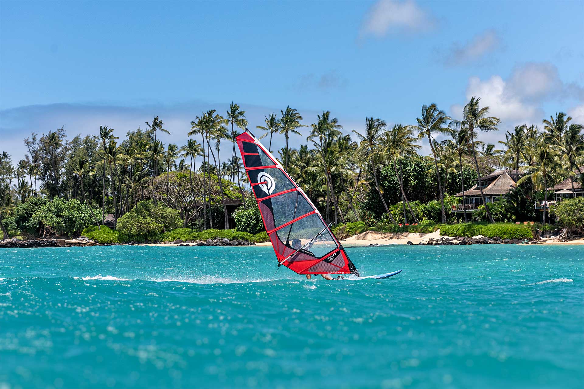 Goya Windsurfing - Sails - Nexus Pro